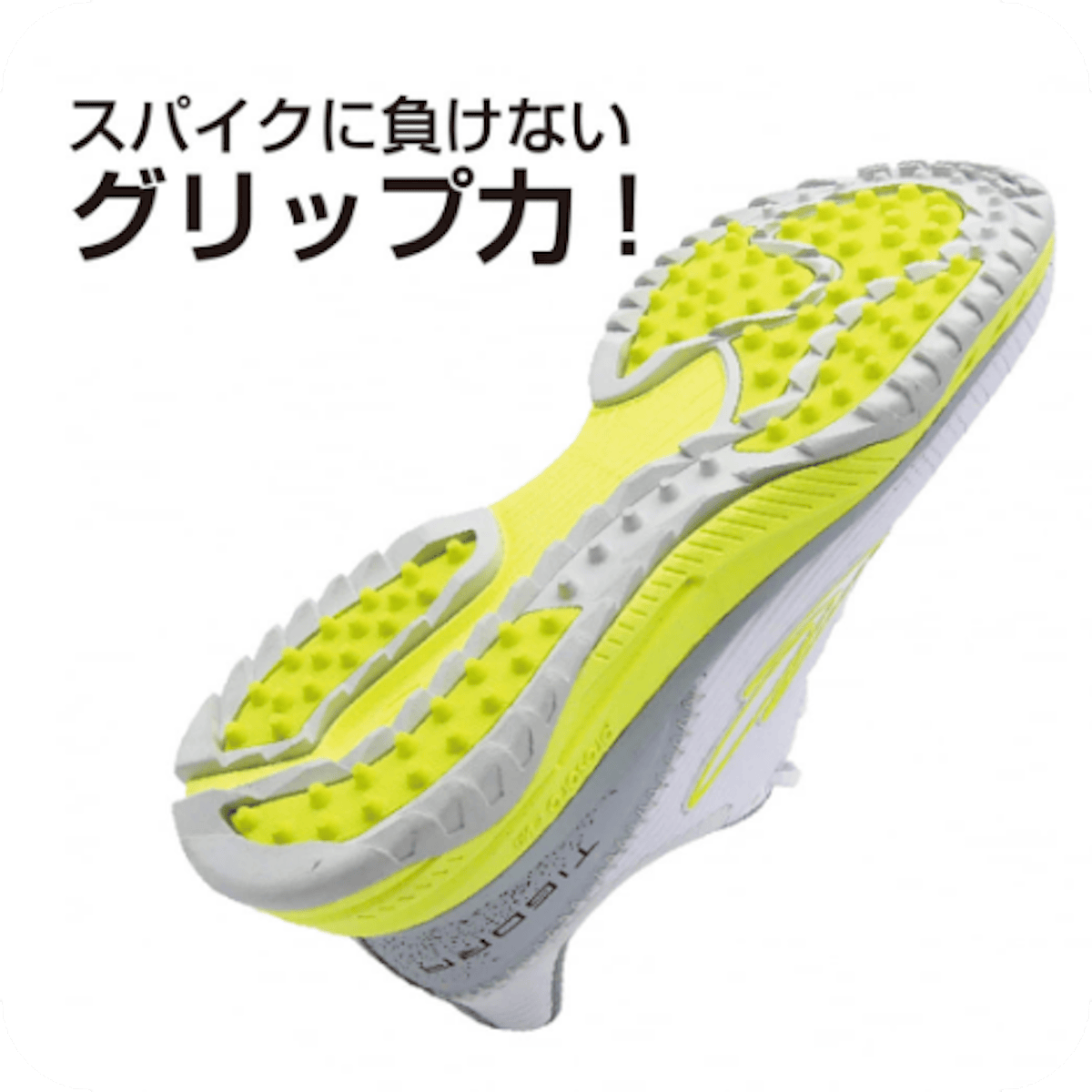 ティゴラゴルフシューズLINEUP | ゴルフクラブ・ゴルフ用品を買うならゴルフ5