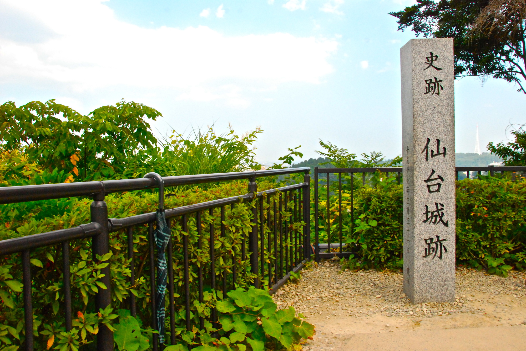 【保存版】宮城の3月の気温を徹底解説！観光・旅行の服装選びに役立つ気温ガイド | NEWT（ニュート）