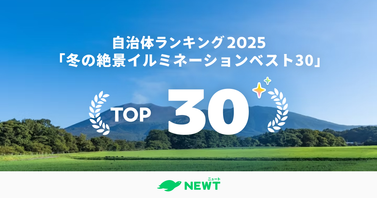 全国1,741自治体から選ぶ！2025年最新版「冬の絶景イルミネーション」全国ベスト30 | NEWT（ニュート）