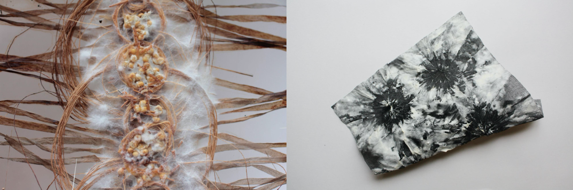 キャロル・コレット「領域横断のデザインが可能にする、惑星規模の変化」 | Fashion Tech News