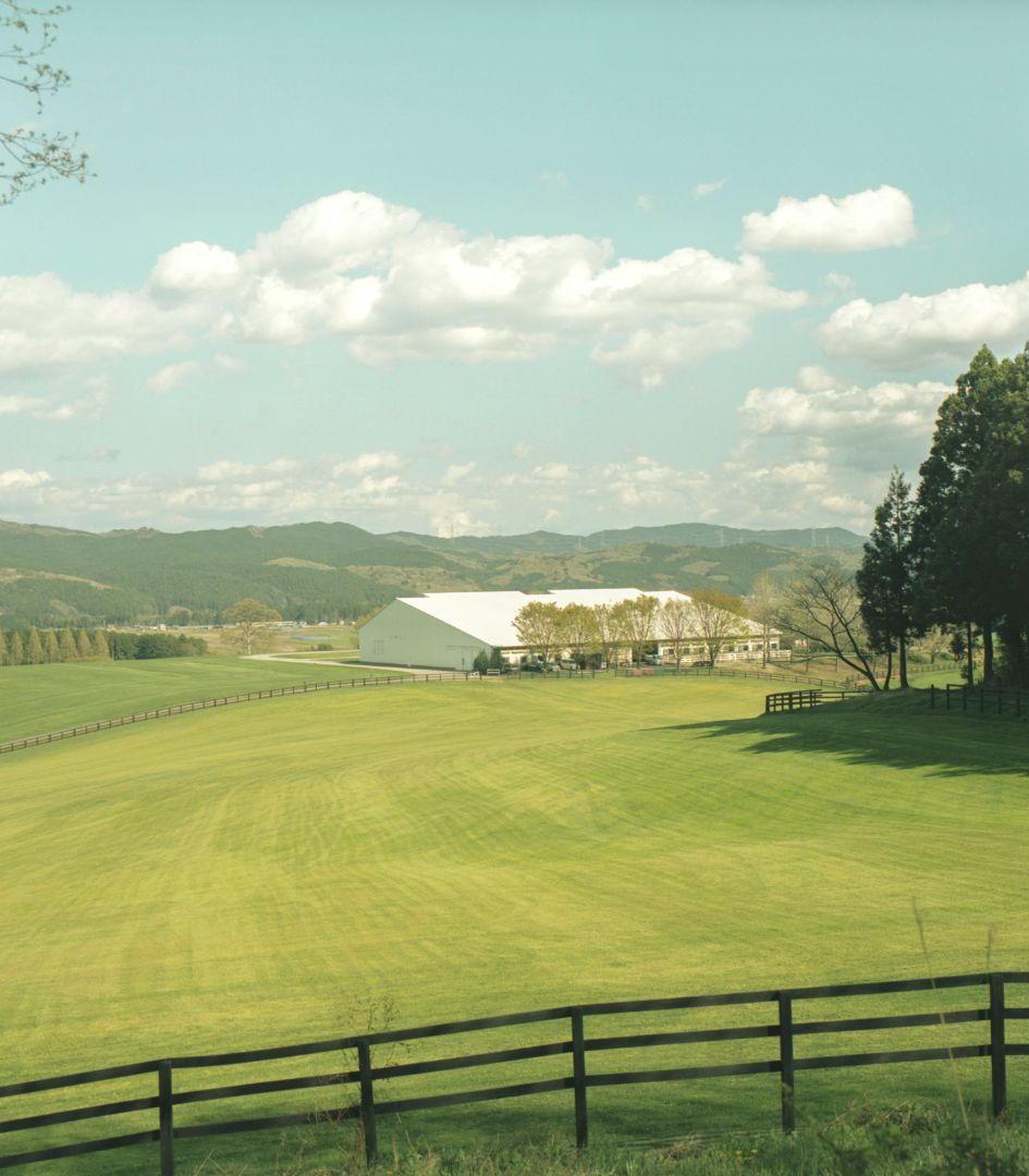 A Serene Nature Plateau