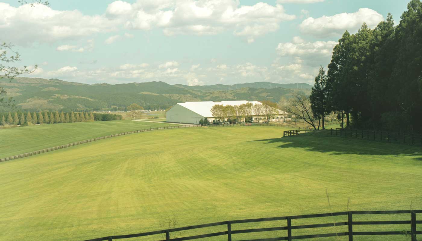 Serenity in a Highland Surrounded by Nature
