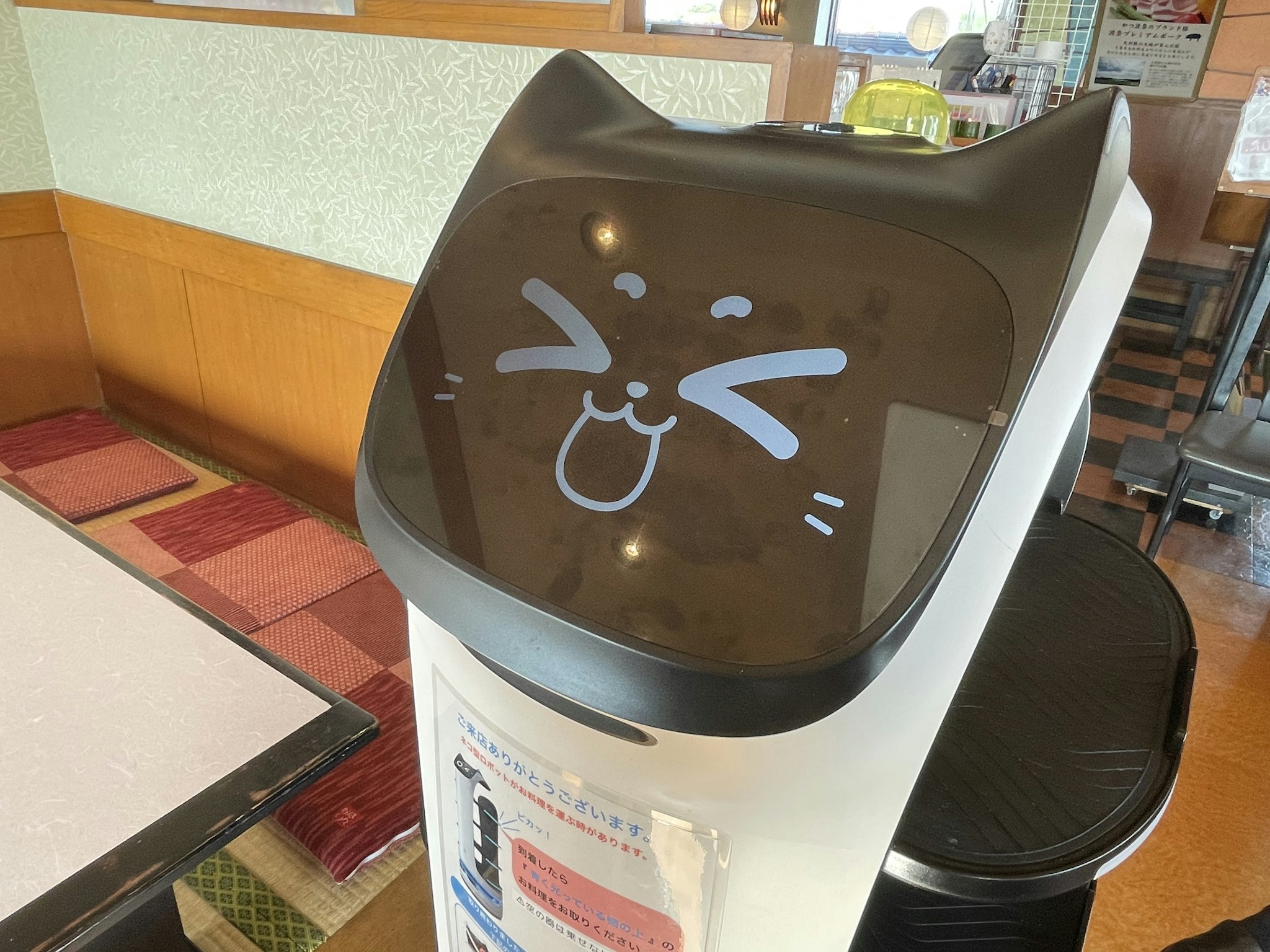 たった1台の導入で圧倒的な作業効率向上を実現！BellaBot（ベラボット）は店舗に欠かせないスタッフ | DFA Robotics