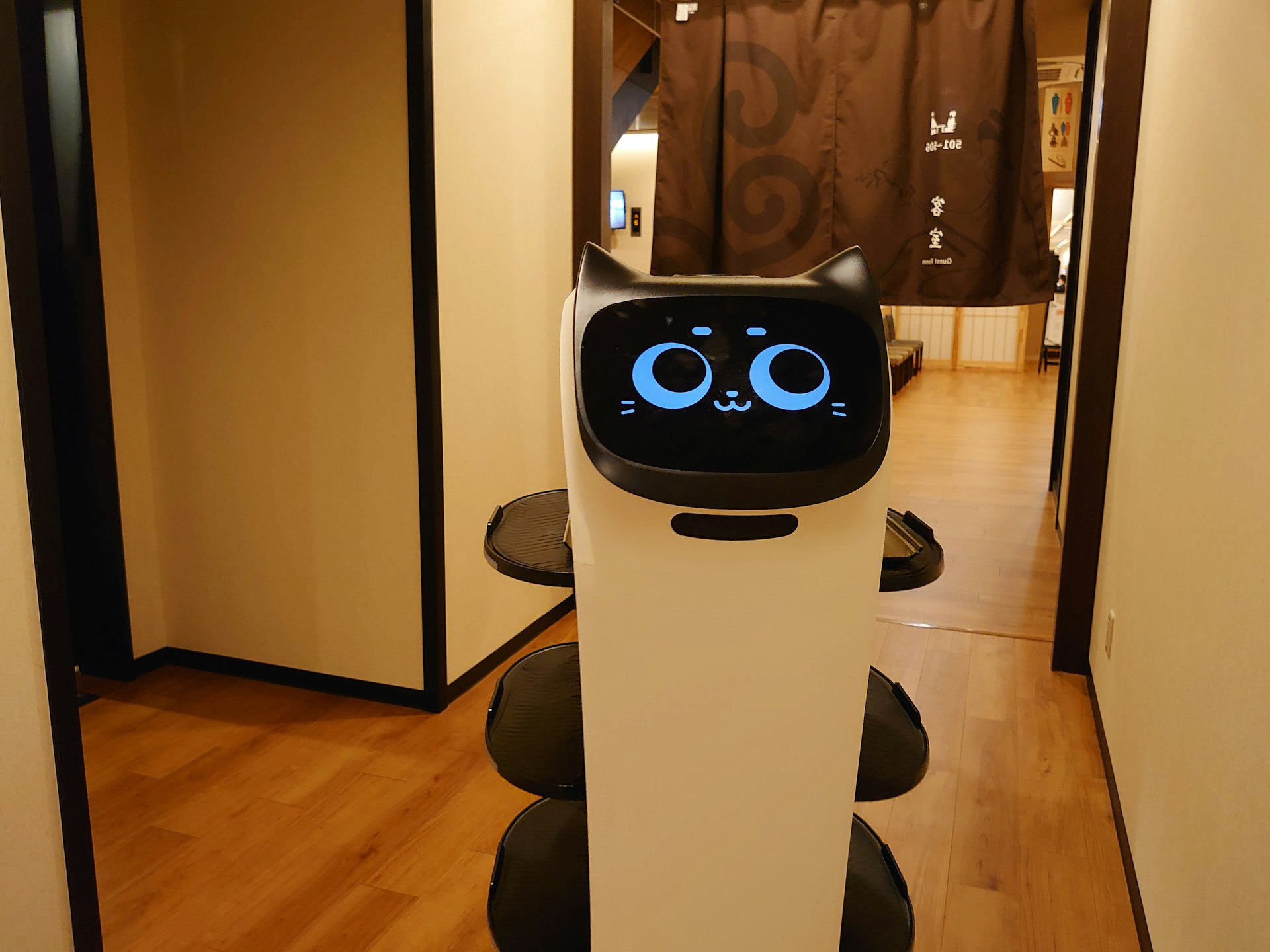 【温浴施設導入事例】東京豊洲 万葉倶楽部さま｜ネコ型配膳ロボット「BellaBot」 | DFA Robotics