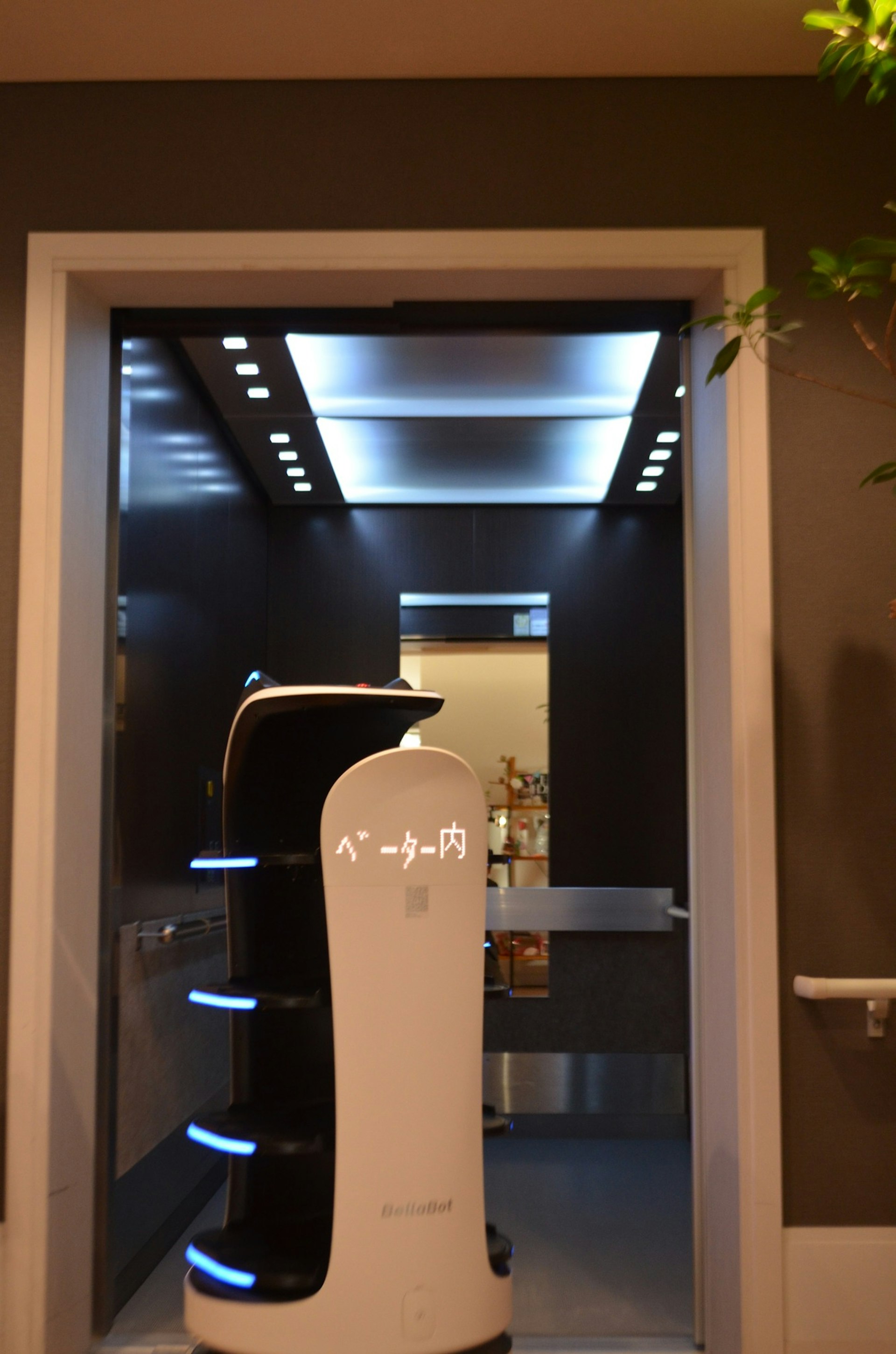 【介護施設導入事例】Greenガーデン南大分さま｜ネコ型配膳ロボット「BellaBot」 | DFA Robotics