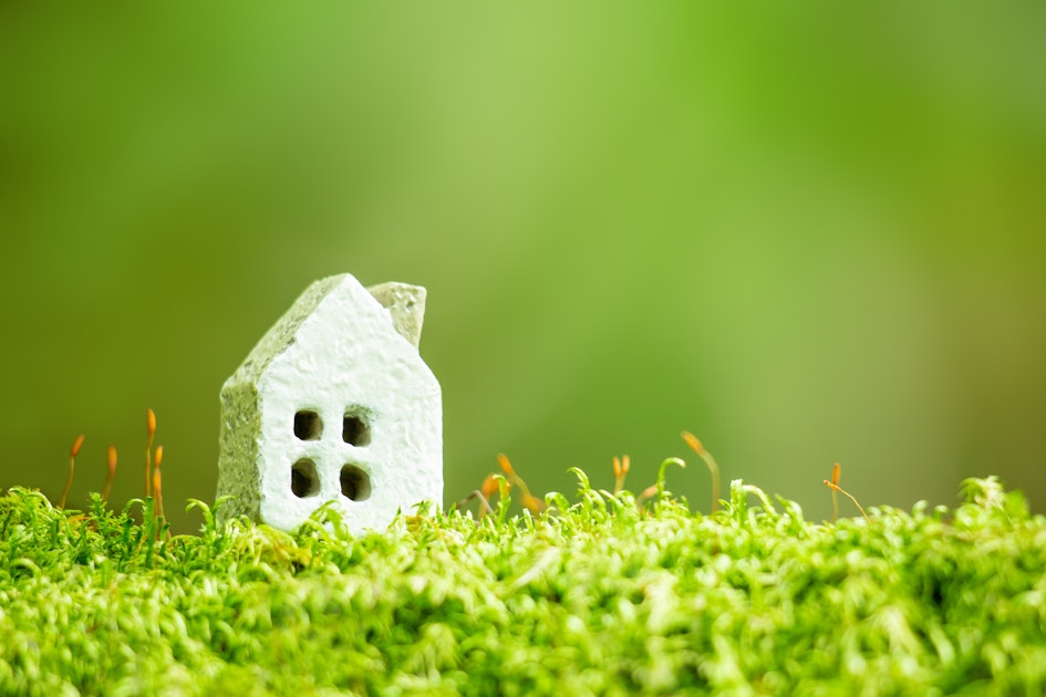 カーボンニュートラル宣言とは何か？ 企業が今すぐ動くべき理由と実践ステップ | GXmap