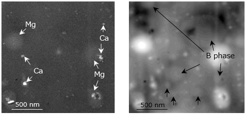 HAADF-STEM像では観察されないブタジエンゴム(B)相を可視化