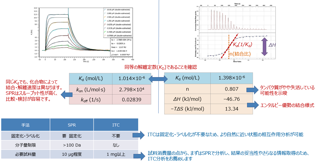 目的に合わせた分析手法で相互作用解析を実施いたします。