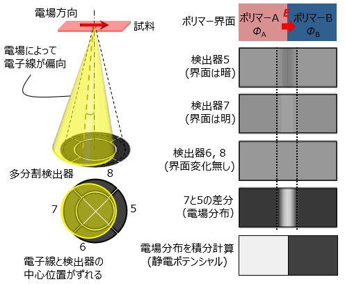 DPC STEMで得られる電場分布を積分することで静電ポテンシャル分布に