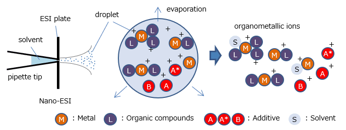 極端紫外線(EUV)レジスト用有機金属化合物の構造解析