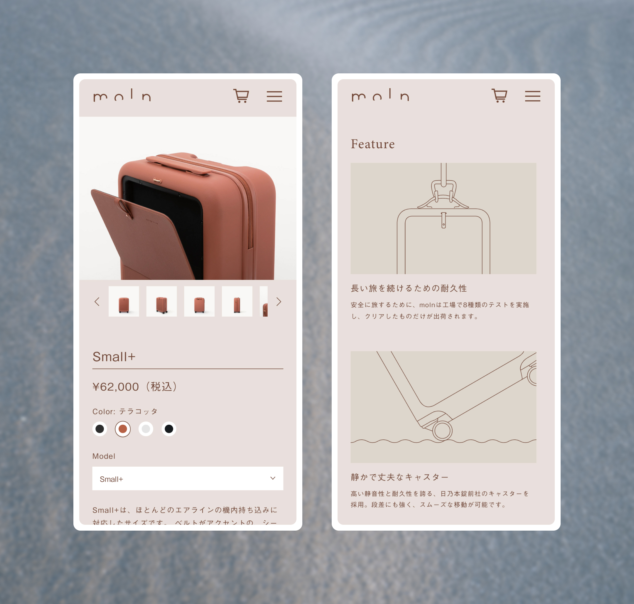 moln ブランドサイトデザイン - AID-DCC Inc.