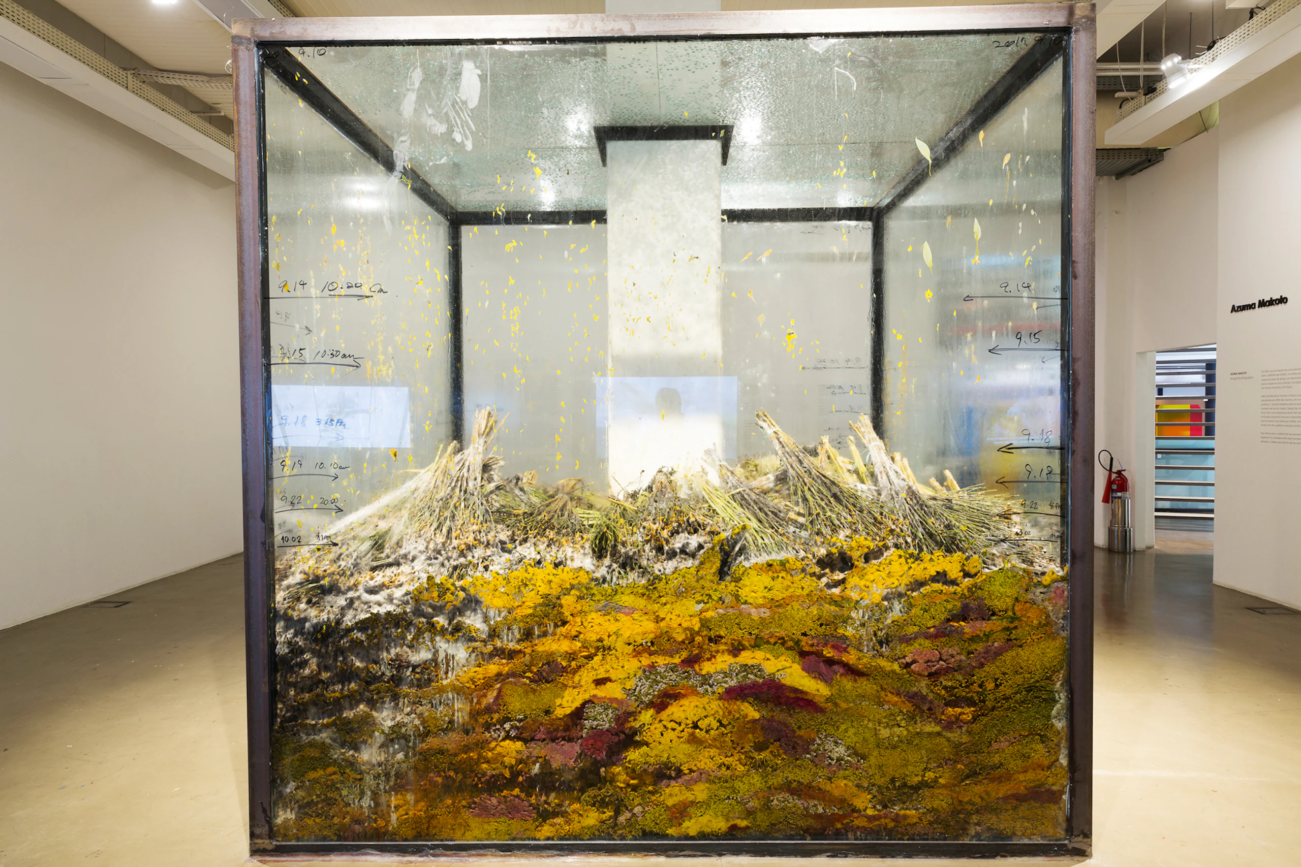 Other Ideas/Outras Ideas | AMKK（東信, 花樹研究所）