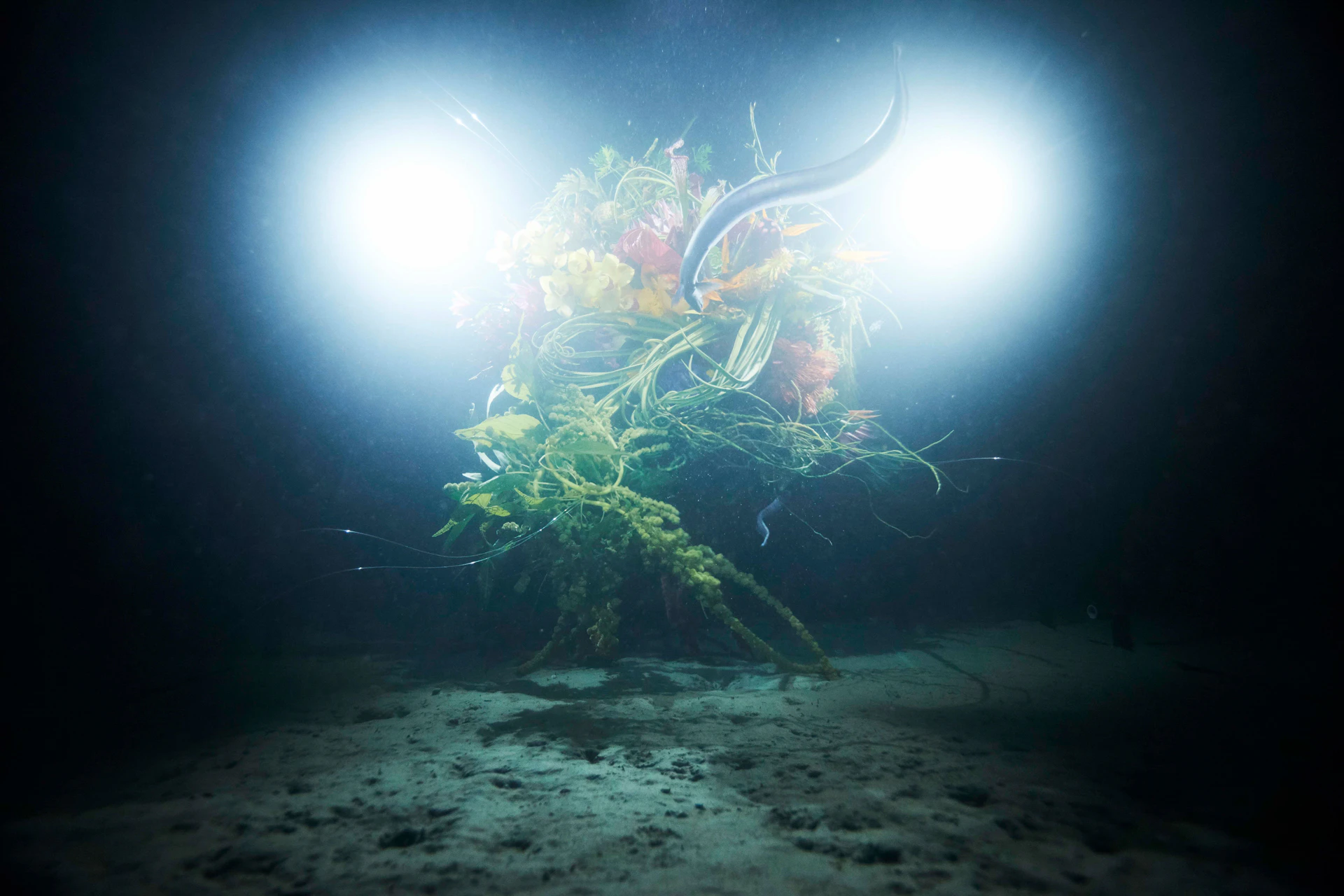 In Bloom #3: SEPHIROTHIC FLOWER: Diving into the Unknown | AMKK（東信, 花樹研究所）