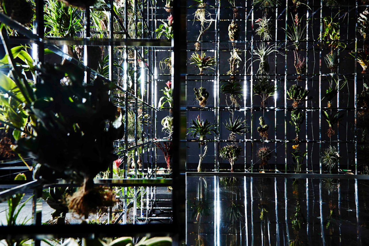 Stage Design for NHK Special | AMKK（東信, 花樹研究所）