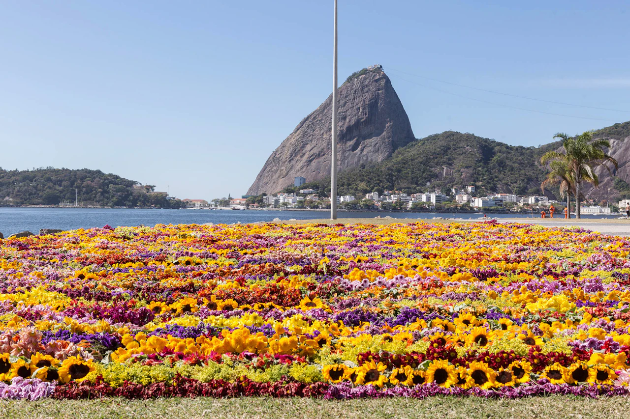 Other Ideas/Outras Ideas | AMKK（東信, 花樹研究所）