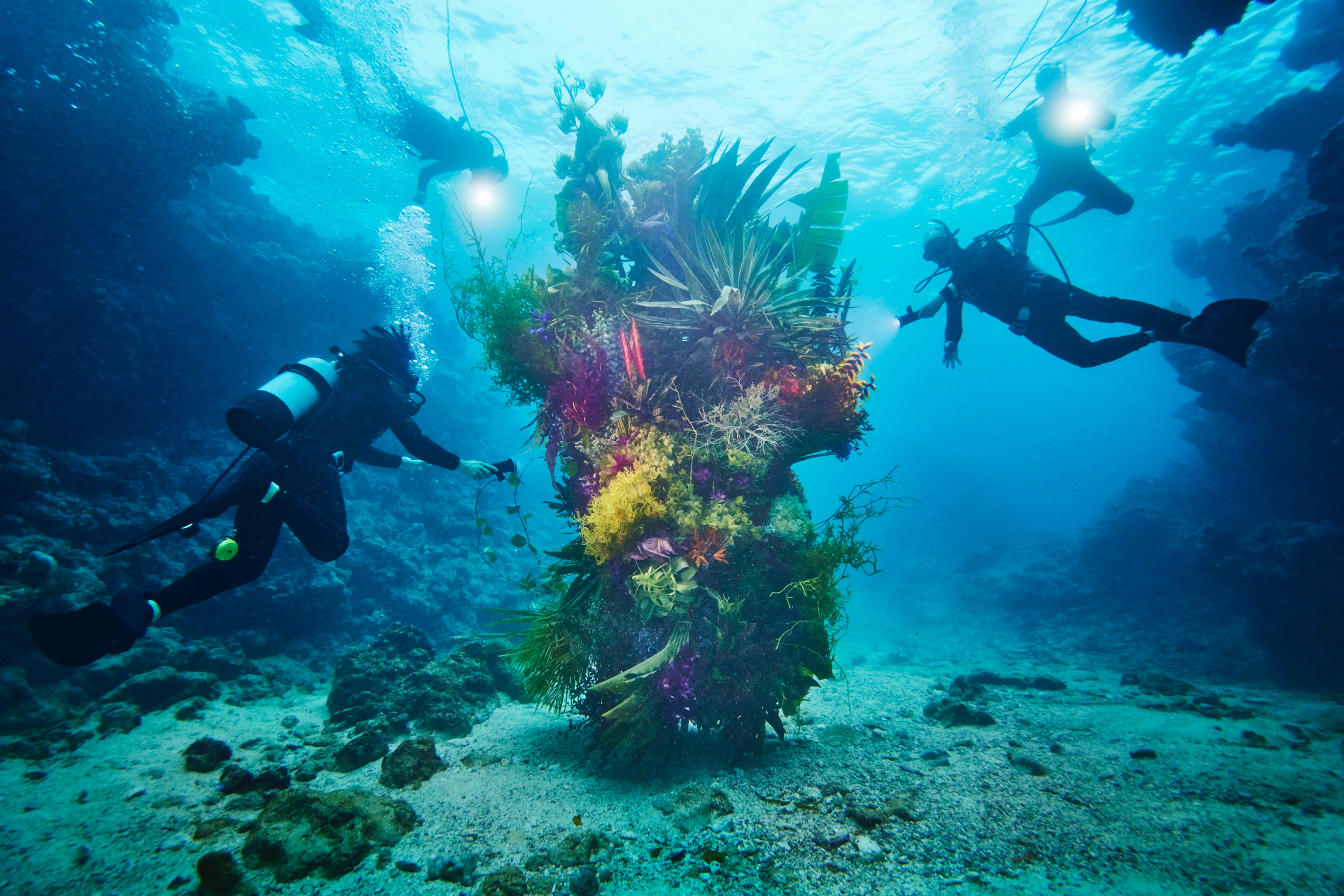 Botanical sculpture × In Bloom project - Sea #3 | AMKK（東信, 花樹研究所）