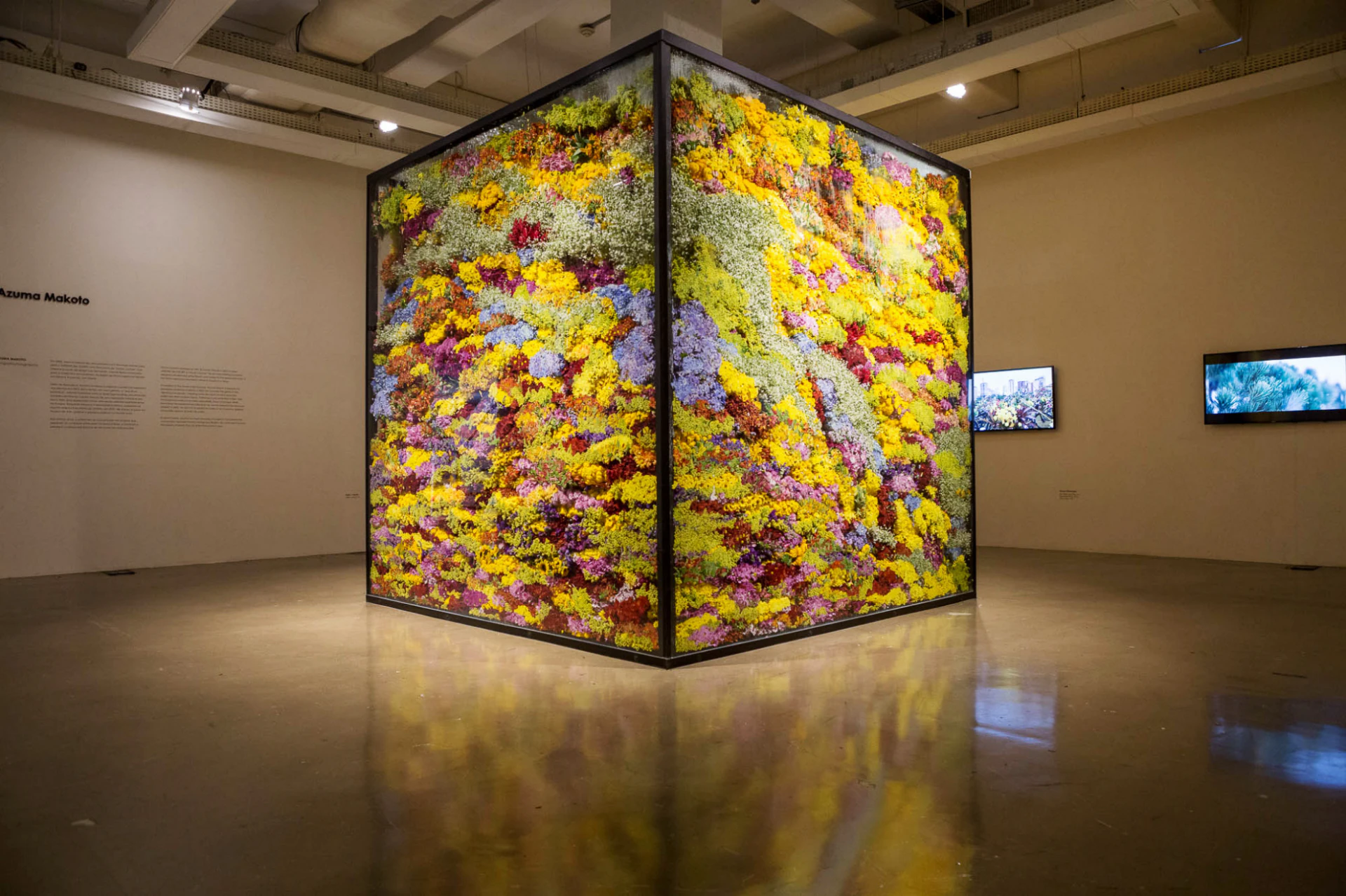 Other Ideas/Outras Ideas | AMKK（東信, 花樹研究所）