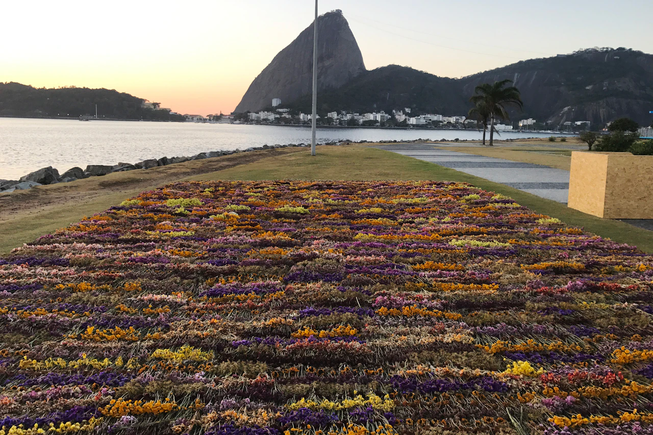 Other Ideas/Outras Ideas | AMKK（東信, 花樹研究所）