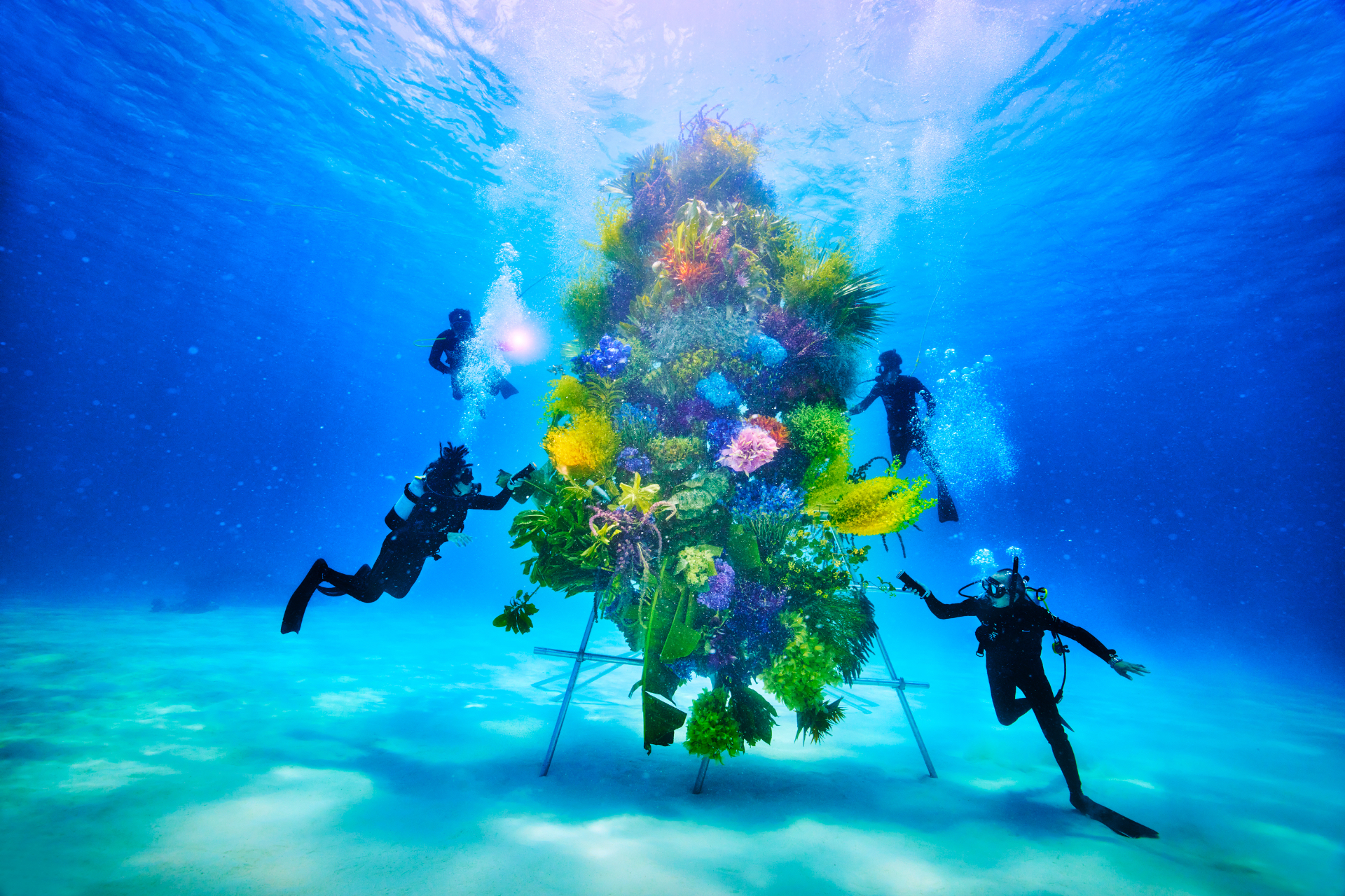 Botanical Sculpture × In Bloom project - Sea #2 | AMKK（東信, 花樹研究所）