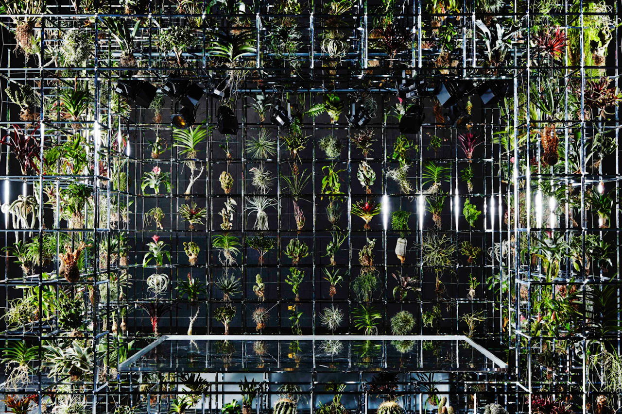 Stage Design for NHK Special | AMKK（東信, 花樹研究所）