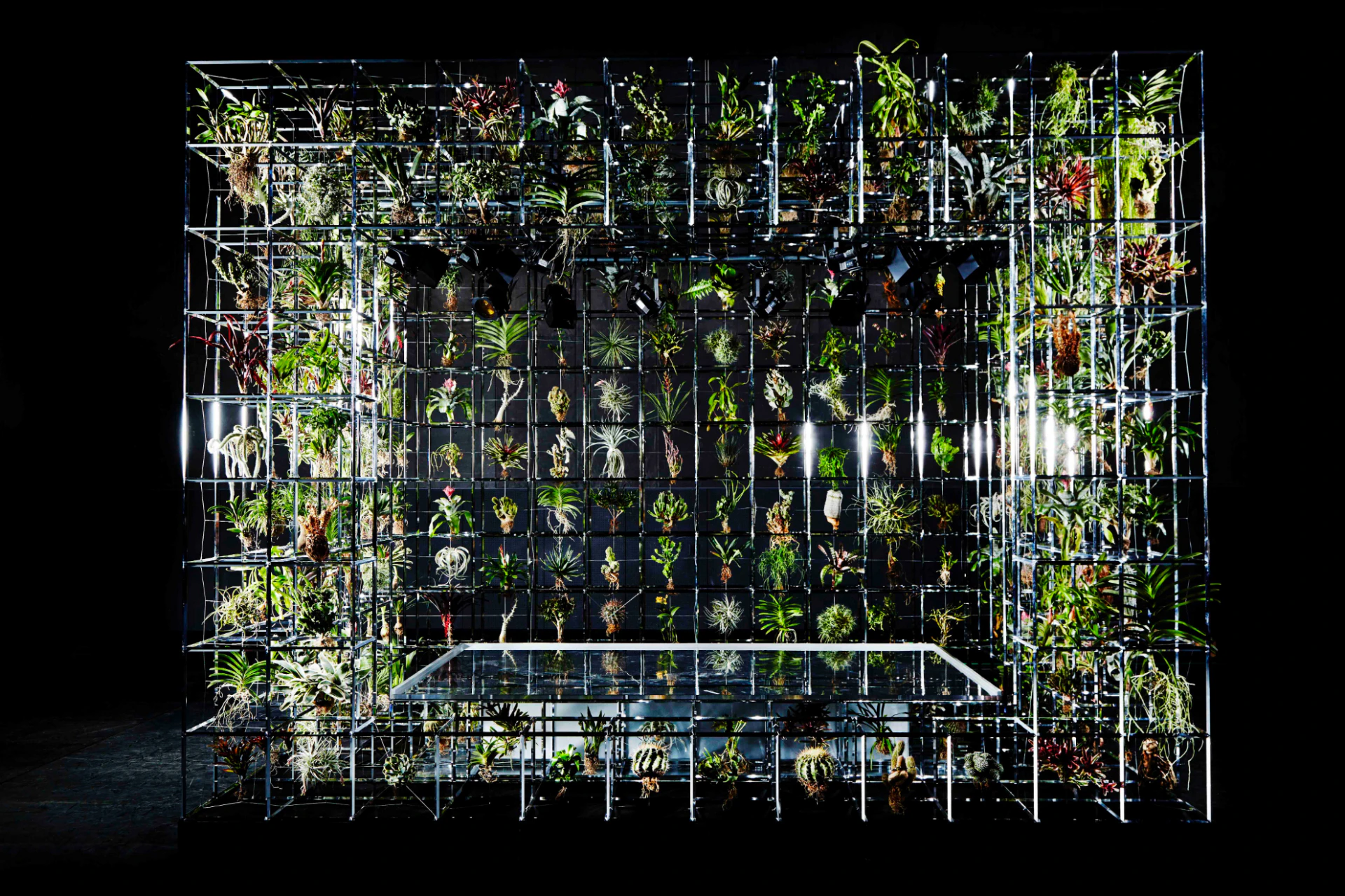 Stage Design for NHK Special | AMKK（東信, 花樹研究所）