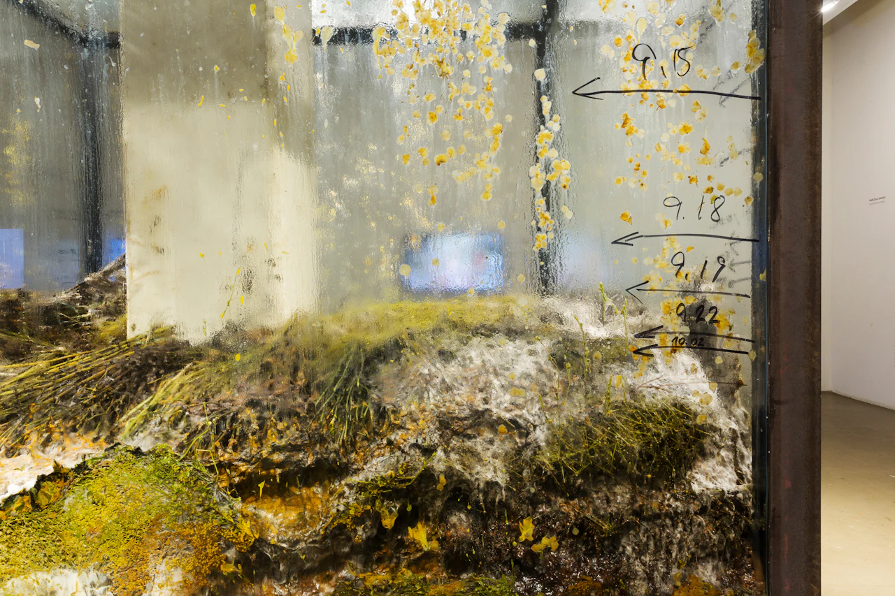 Other Ideas/Outras Ideas | AMKK（東信, 花樹研究所）