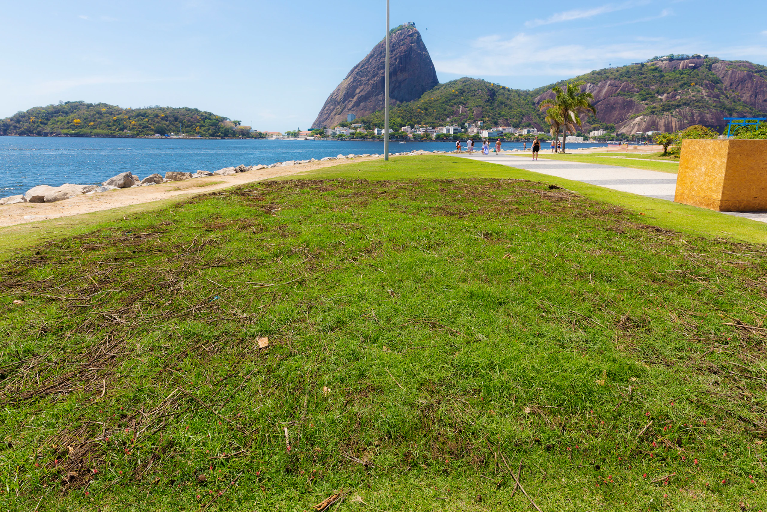 Other Ideas/Outras Ideas | AMKK（東信, 花樹研究所）