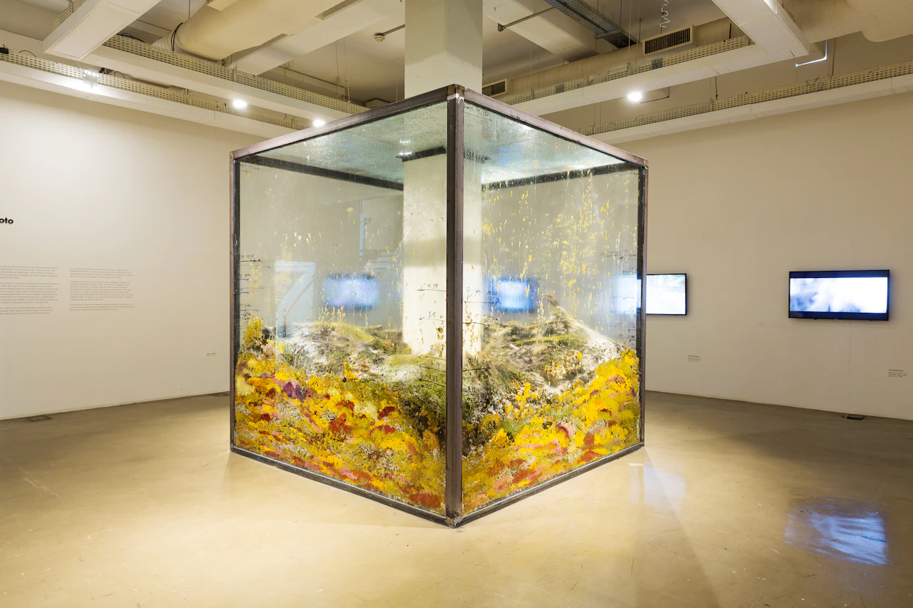 Other Ideas/Outras Ideas | AMKK（東信, 花樹研究所）