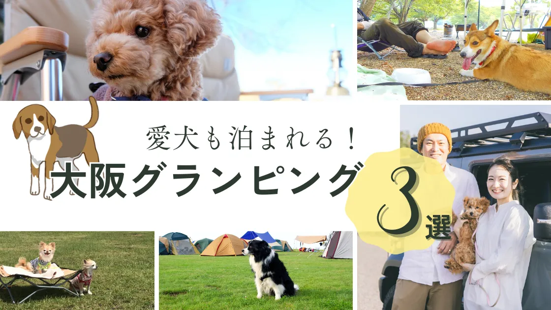 【大阪】愛犬とグランピング！驚きの体験が待ってる人気施設を大公開！