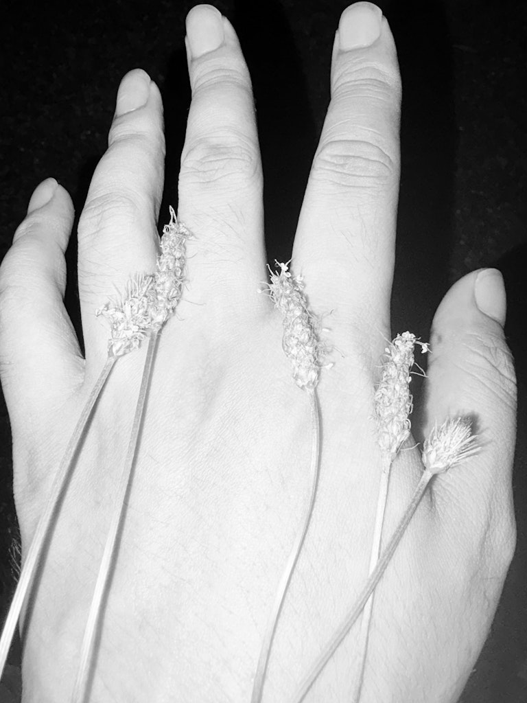 “摄影的真实性”无法保证“真实”的矛盾 | Knowledge #305 | cizucu