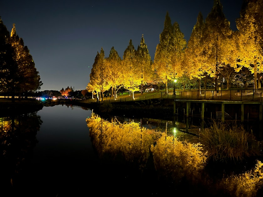 #reflection | シンメトリーに写すだけではない反射の活用法 | Focus #424 | cizucu