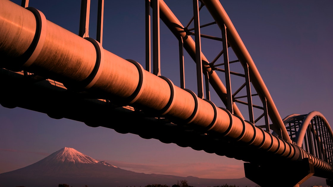 今週の注目作品に『Spotlight』| Knowledge #29 | cizucu