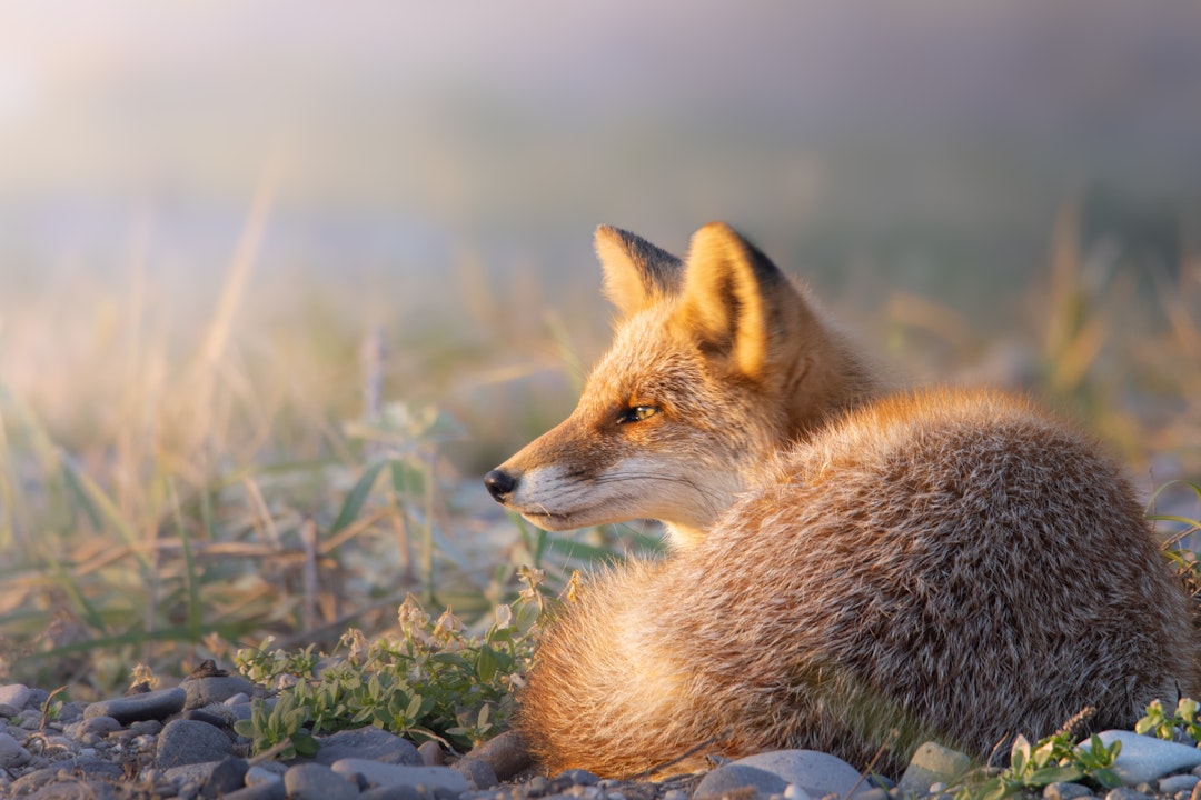 今週の注目作品に『Spotlight』| Knowledge #59 | cizucu