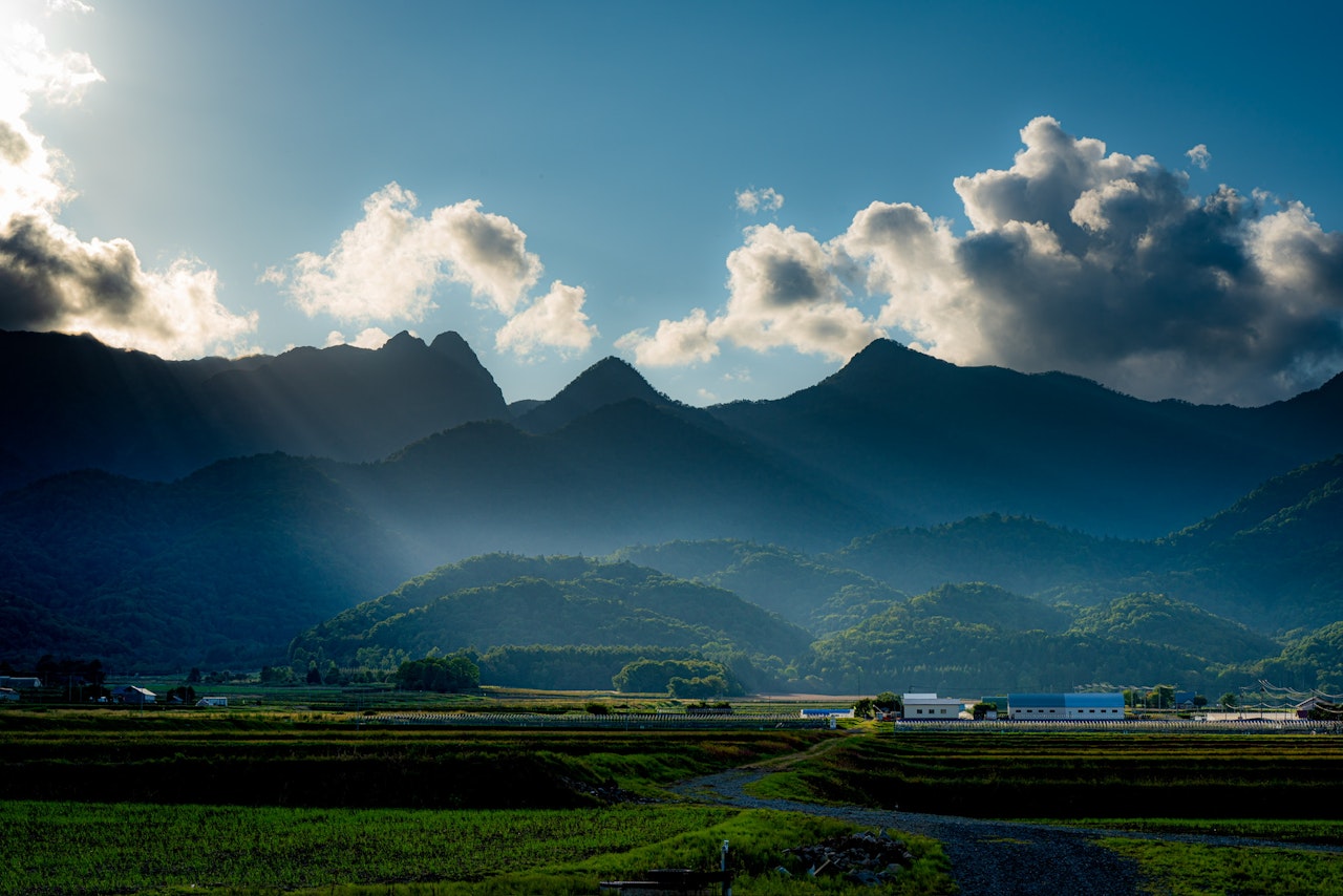 cizucu主宰『Sunlight Stories』受賞発表 | Challenge #97 | cizucu