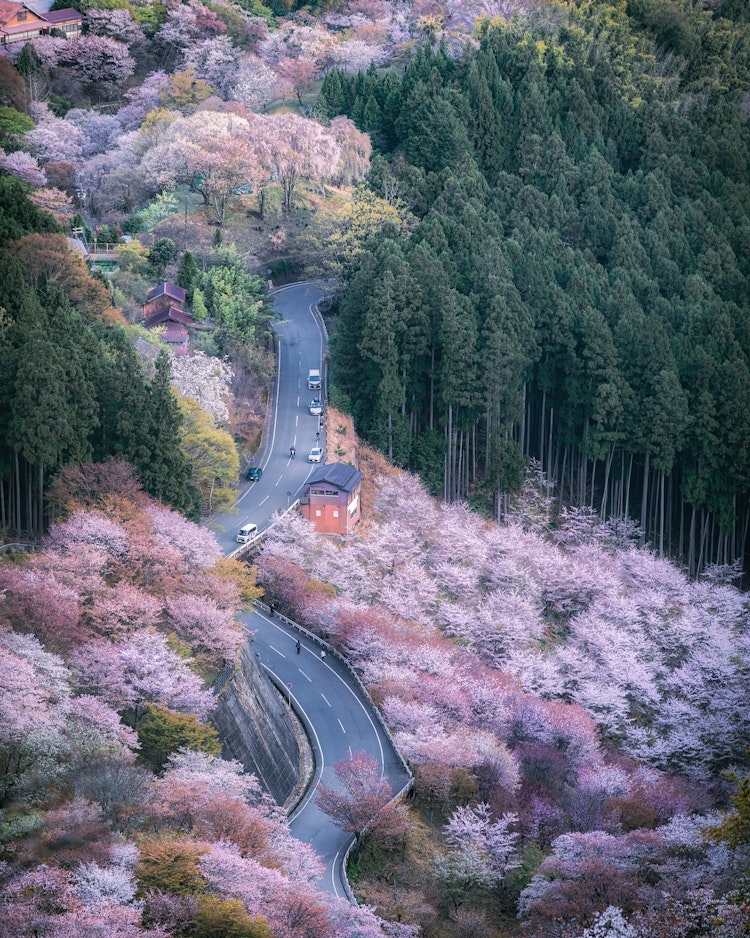 『Wander Wonder』受賞者発表 | Challenge #21 | cizucu