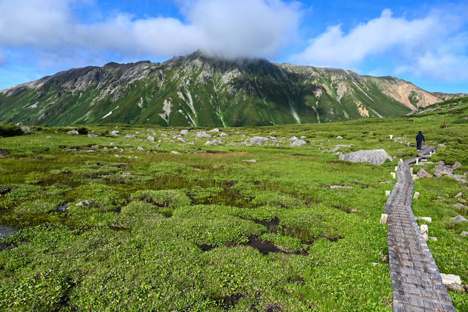 ISOのベスト値を探ろう | Knowledge #128 | cizucu