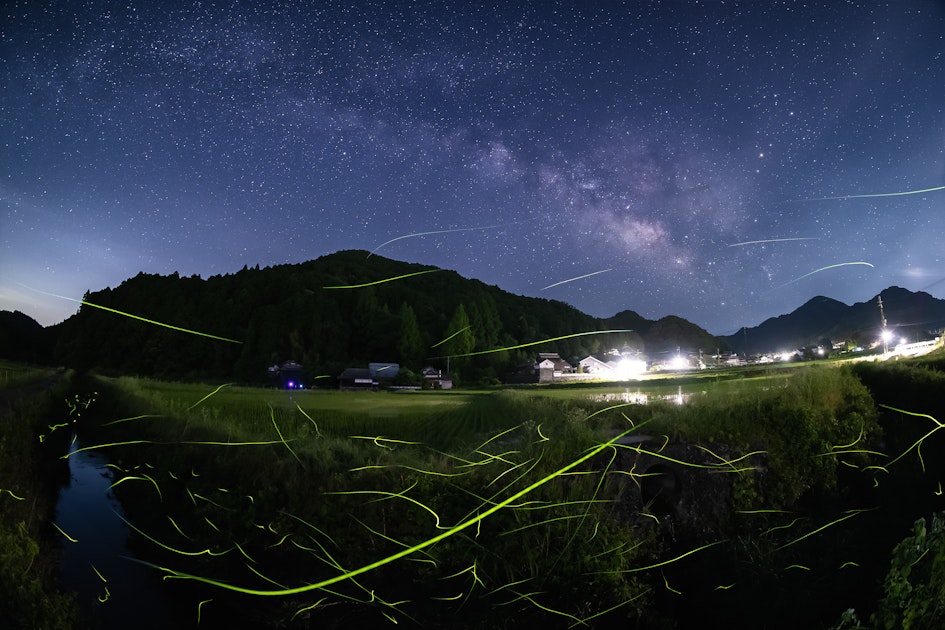 夜景写真のススメ | カメラを片手に夜更かし | Knowledge #5 | cizucu