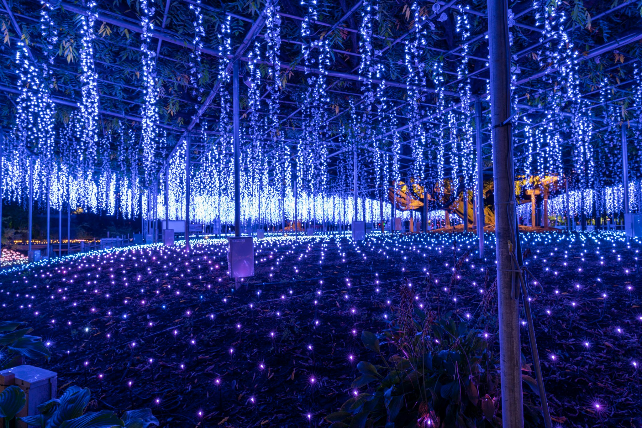 青春18きっぷ・栃木編 | 東京から日帰りで楽しめるスポット | Focus #277 | cizucu