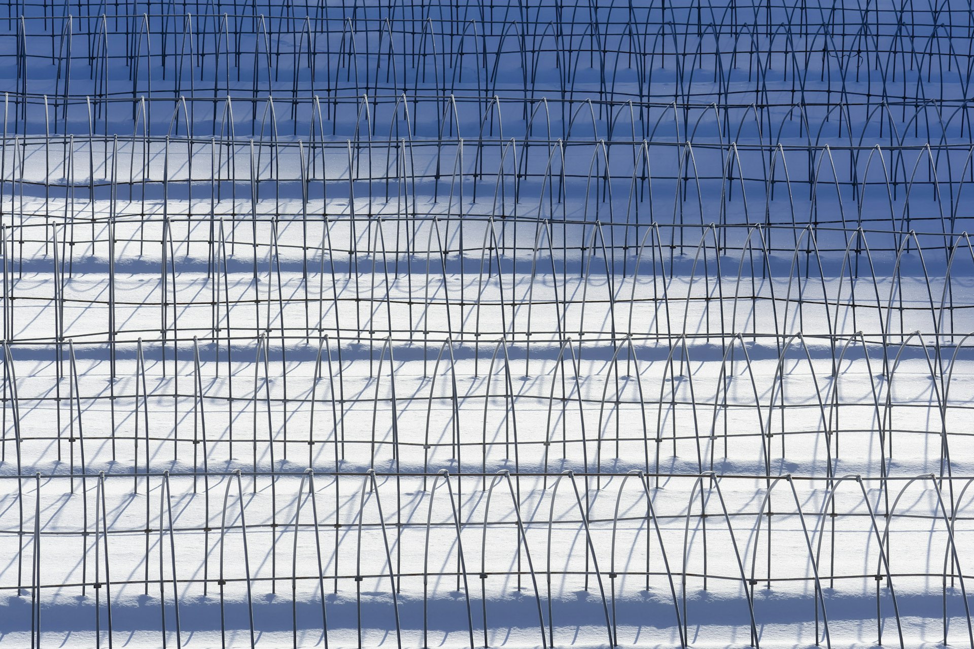 cizucu主宰『Nature’s Whisper』受賞発表 | Challenge #71 | cizucu