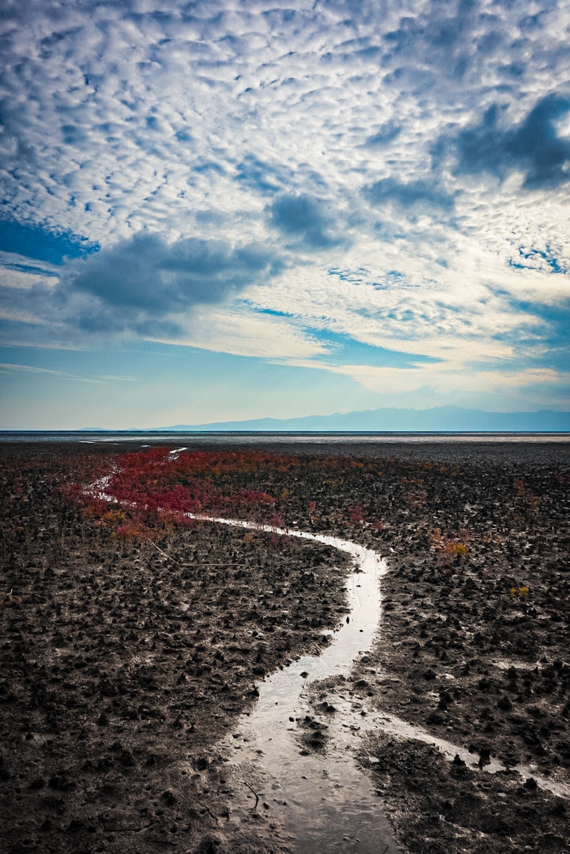 Add Graceful Movement to Your Subjects with Curved Composition ...