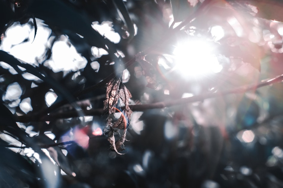 時間の移ろいが感じられる日常写真たち | Focus #160 | cizucu