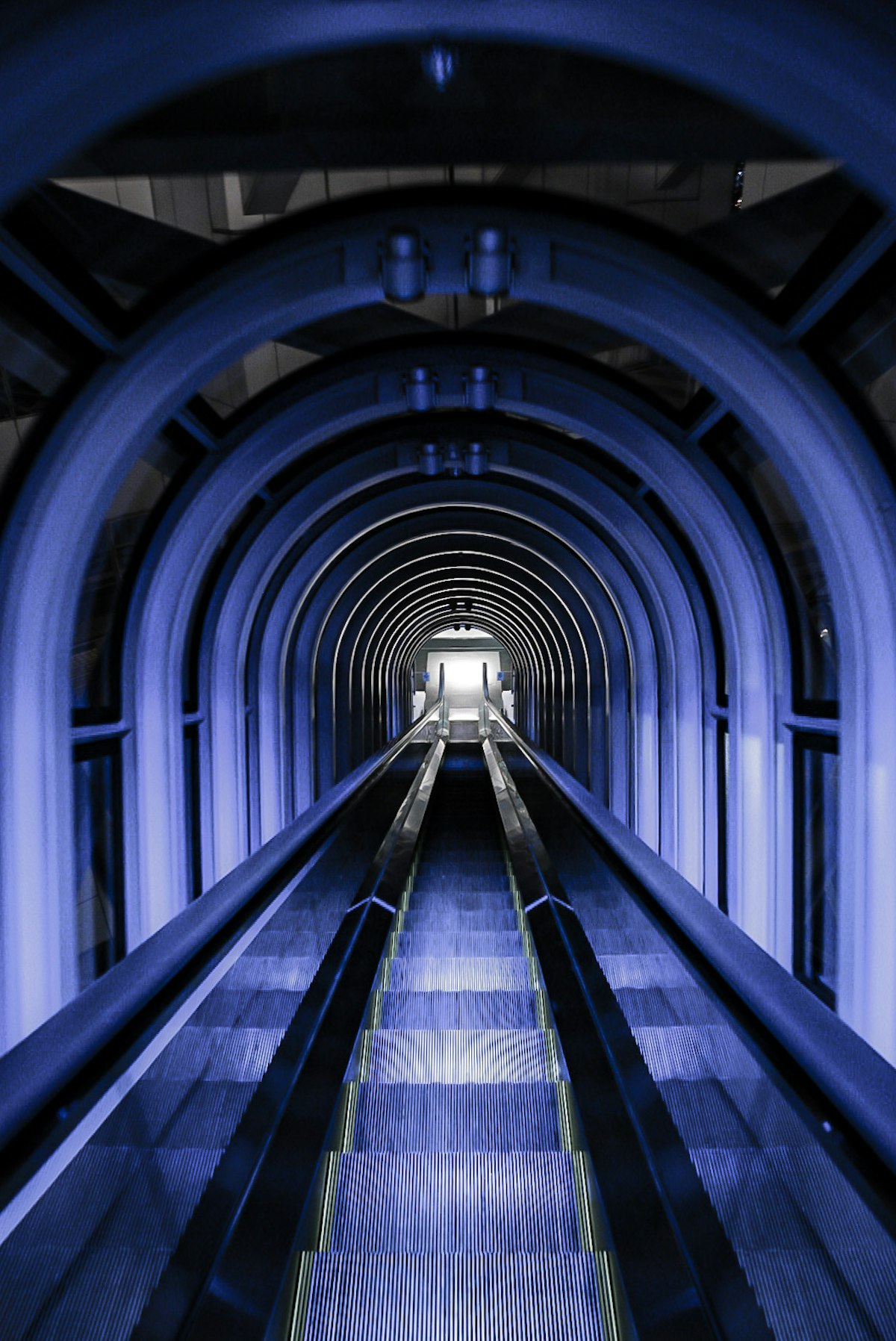 今週の注目作品に『Spotlight』| Knowledge #55 | cizucu