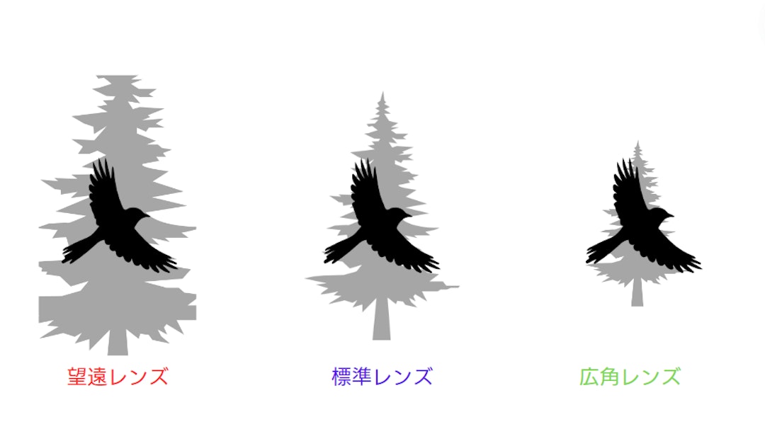 迫力ある写真を生む圧縮効果の魅力と活用法 | Knowledge #81 | cizucu