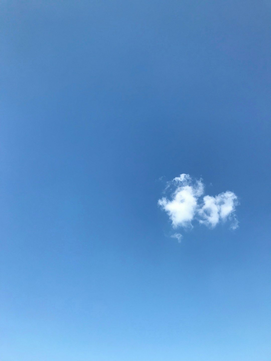 Canon EOS R5 Mark IIとSanDiskカードの互換性問題学ぶメモリカード選び | Knowledge #192 | cizucu