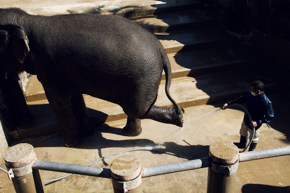 cizucu主宰『I was here』受賞発表 | Challenge #81 | cizucu