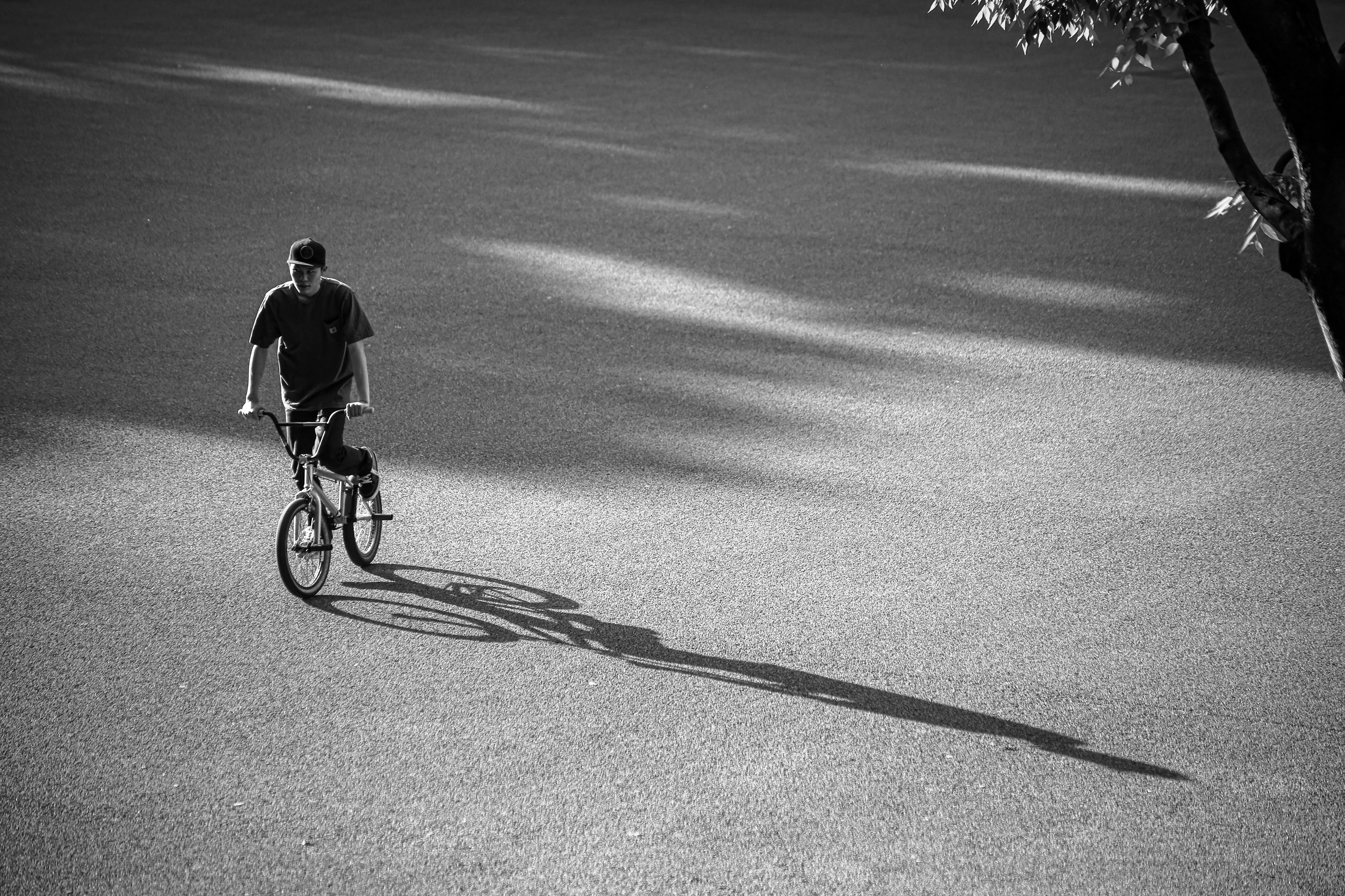 #shadow | Re-examining Your Work Through Shadows | Focus #595 ...