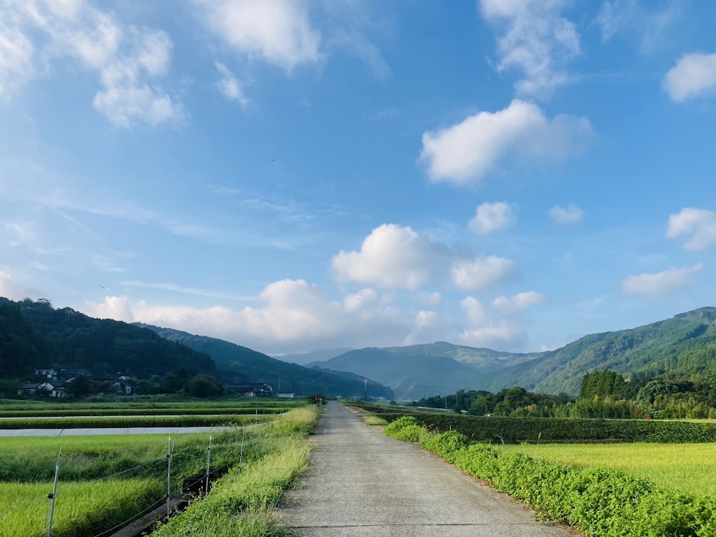 cizucu主宰『Way We Wander』| Challenge #134 | cizucu