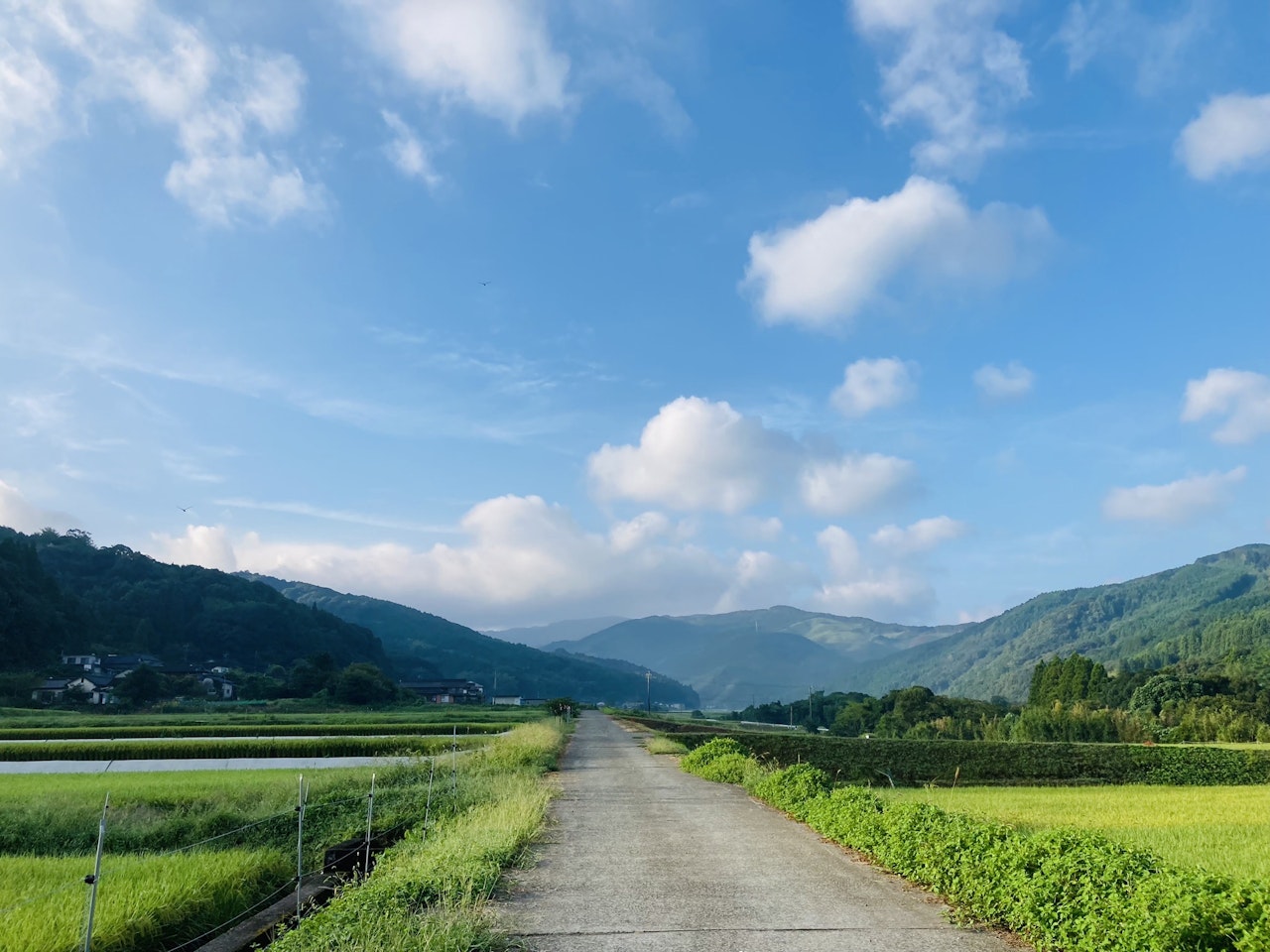 cizucu主宰『Way We Wander』| Challenge #134 | cizucu