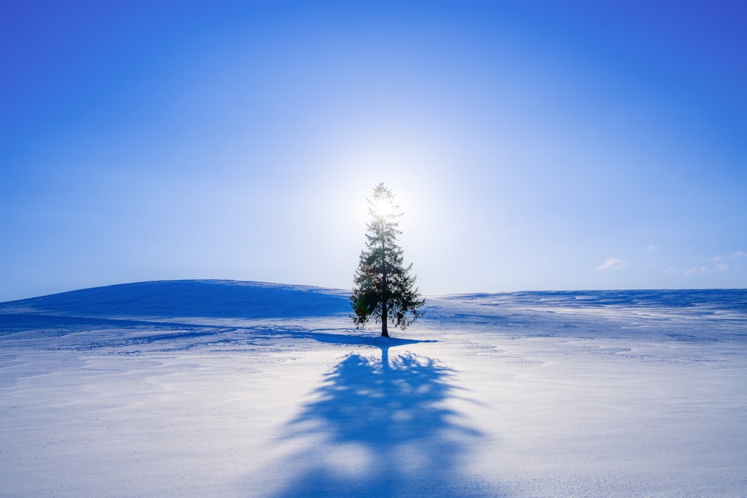 cizucu主宰『Illuminate Yourself』| Challenge #120 | cizucu