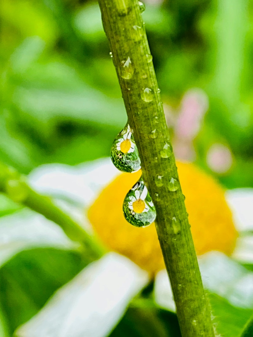 右目？左目？カメラのファインダーはどっちの目で覗くべきか | Knowledge #198 | cizucu